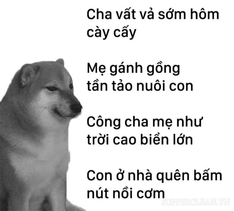 Báo thủ là gì? Vì sao báo thủ hot trên MXH | Supperclean