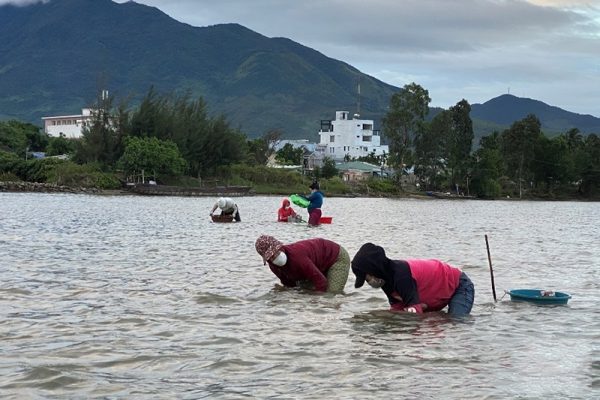 Chem chép là gì? Tổng hợp món ăn ngon từ con chem chép